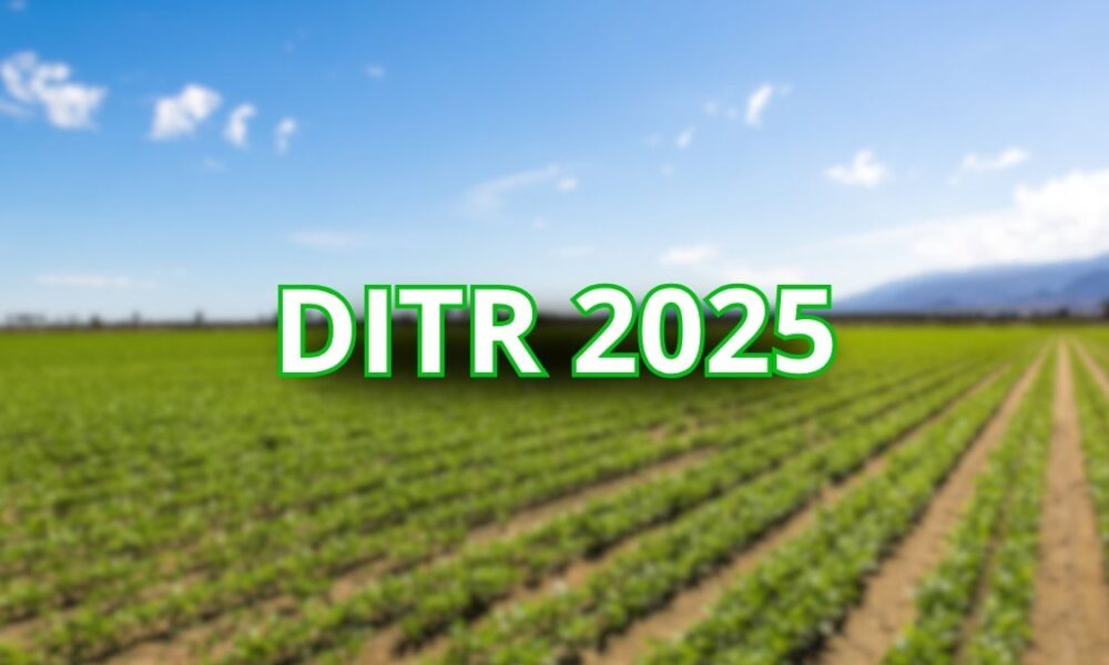 DITR 2025: veja as regras e prazos para entrega – Jornal Contábil ...